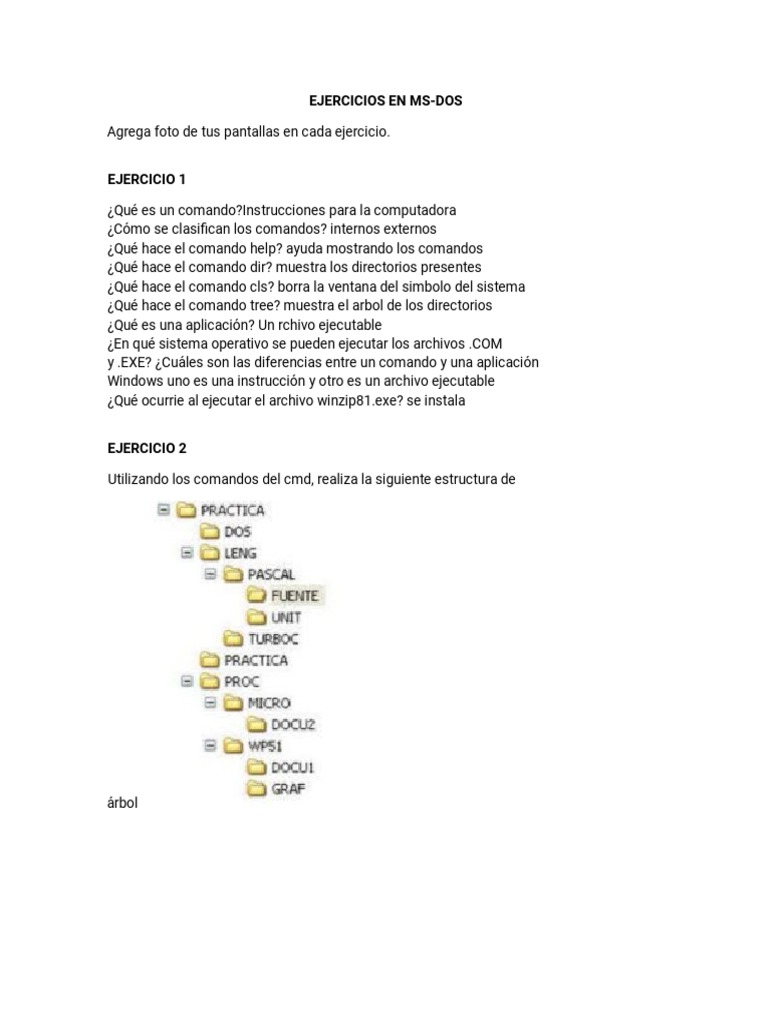 Guía de ejercicios prácticos sobre comandos básicos de MS-DOS | PDF