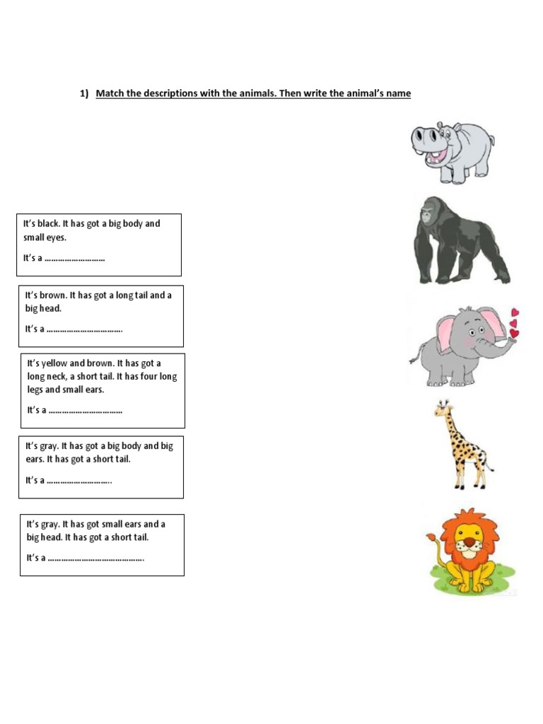 Animals and Parts of The Body | PDF