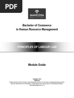 N5 Labour Relations | PDF | Labour Law | Labor Relations