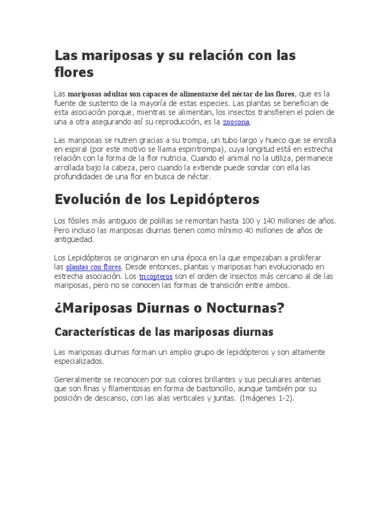 Las Mariposas | PDF | Lepidópteros | Mariposa