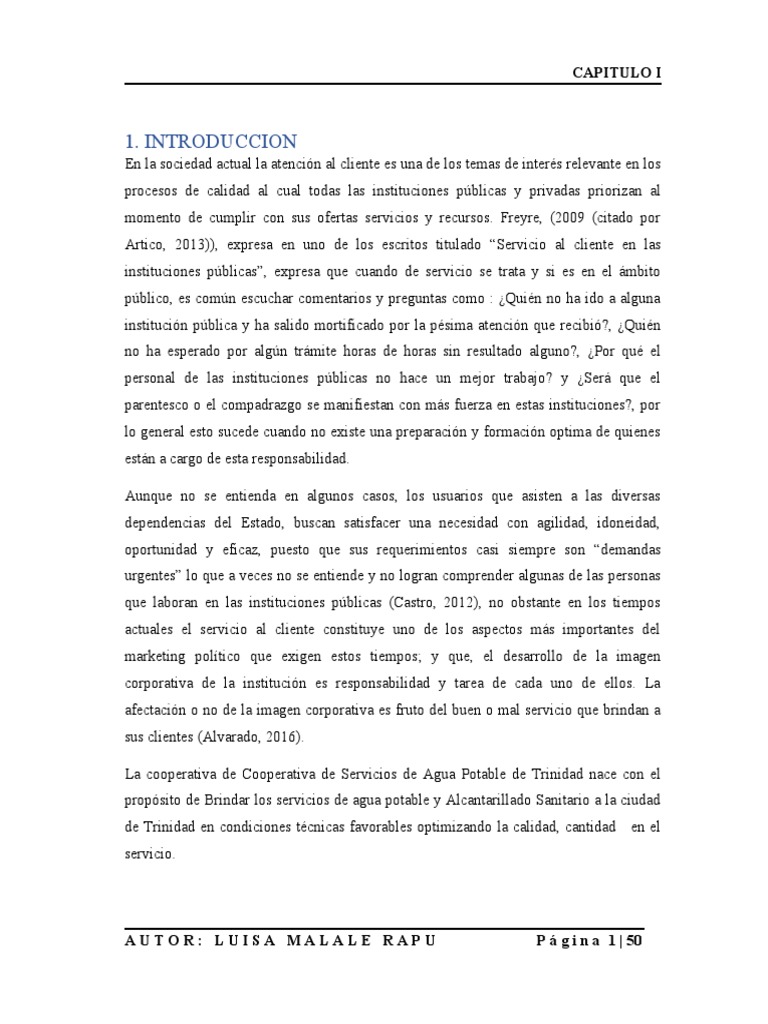 Proyecto Corregido Luisa | PDF | Servicio al Cliente | Marketing