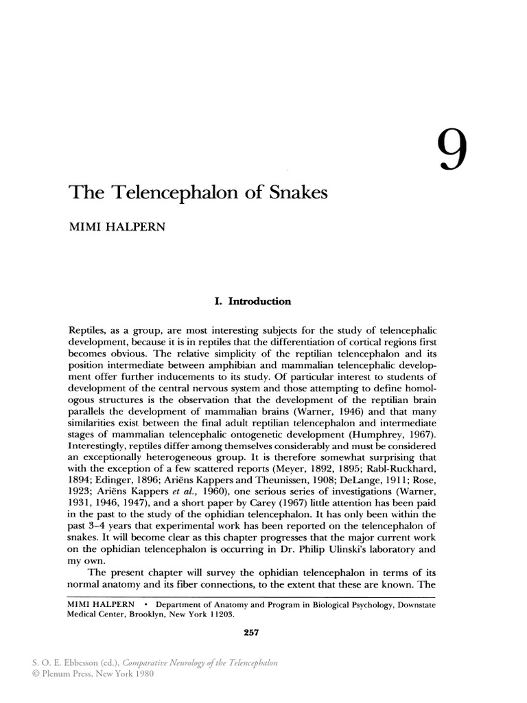 Ebbesson, Sven O. E. (1980) - Comparative Neurology of The Telencephalon. The Telencephalon of ...