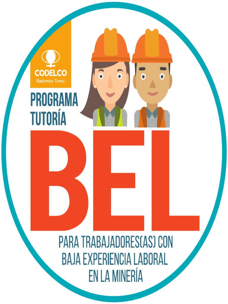 Logo BEL | PDF