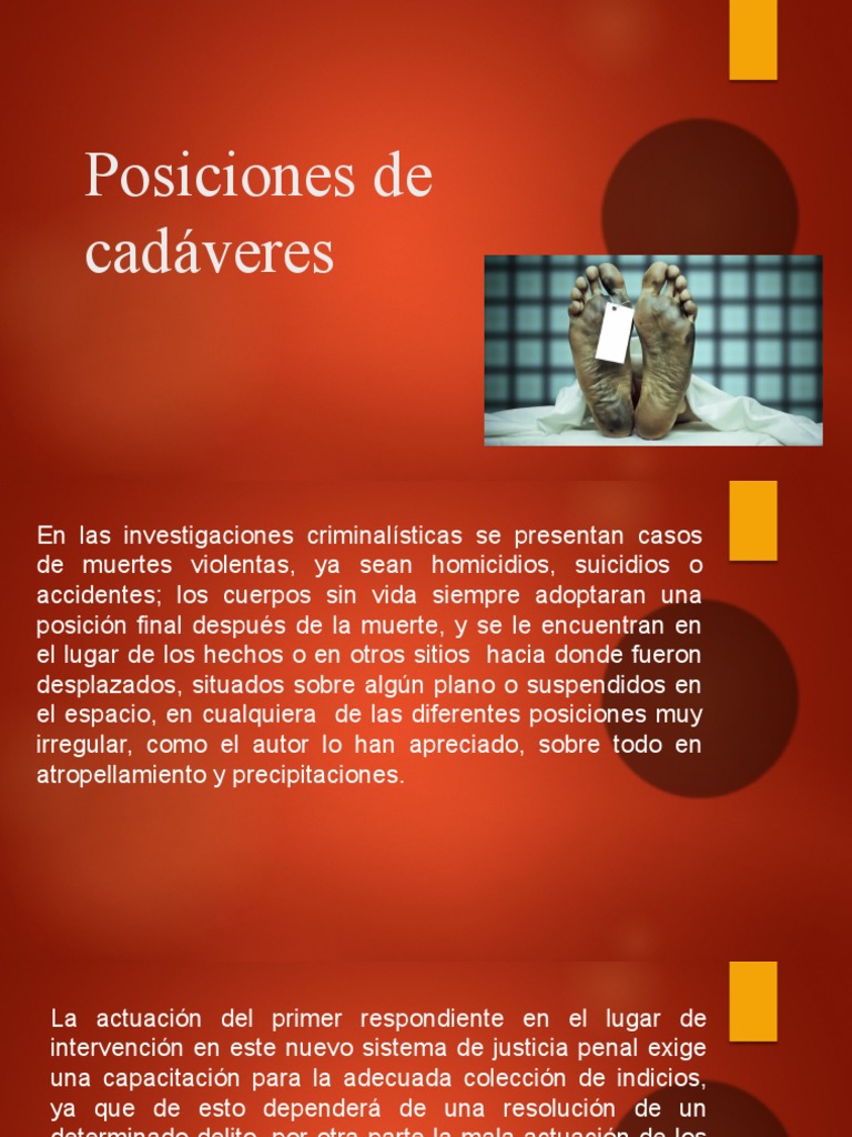 Posiciones Cadavéricas en Criminología | PDF | Términos anatómicos de ubicación