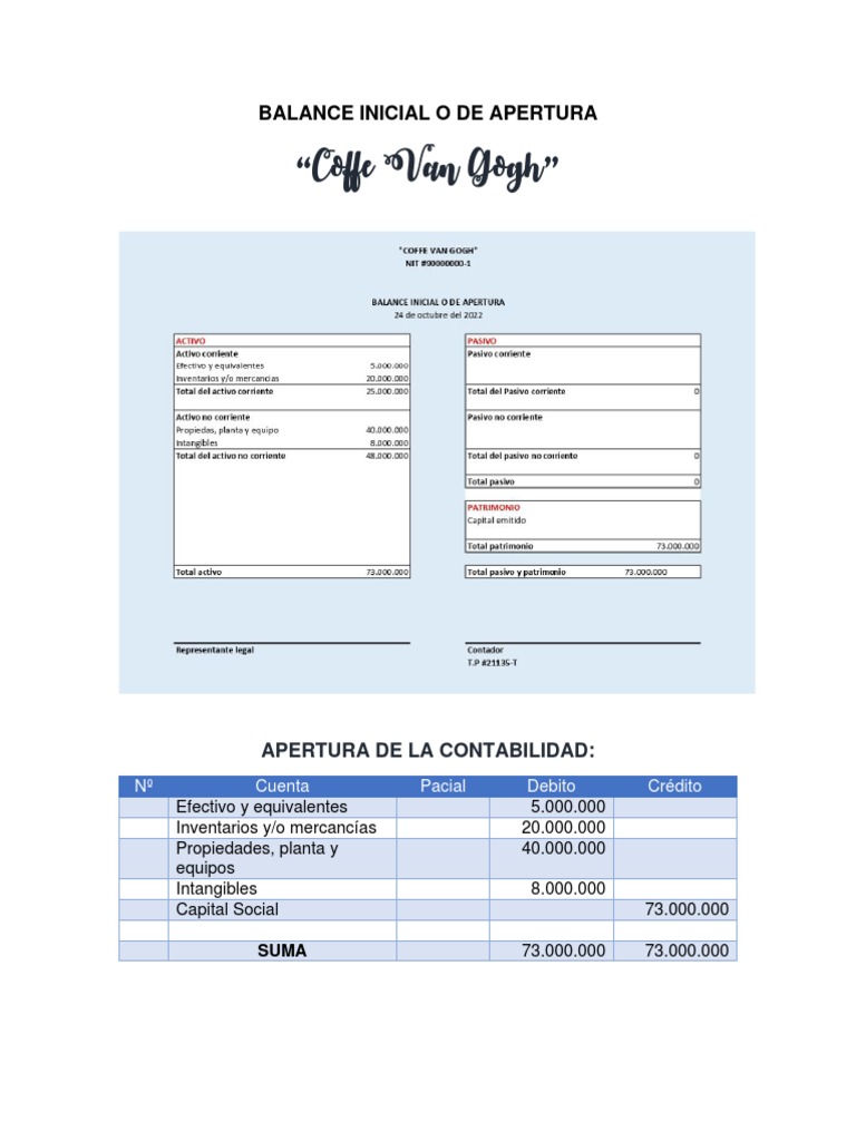 BALANCE INICIAL O DE APERTURA | PDF