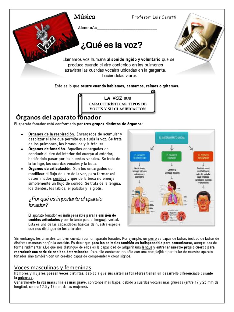(Template) 6. LA VOZ - Prof | PDF | Voz humana | Canto