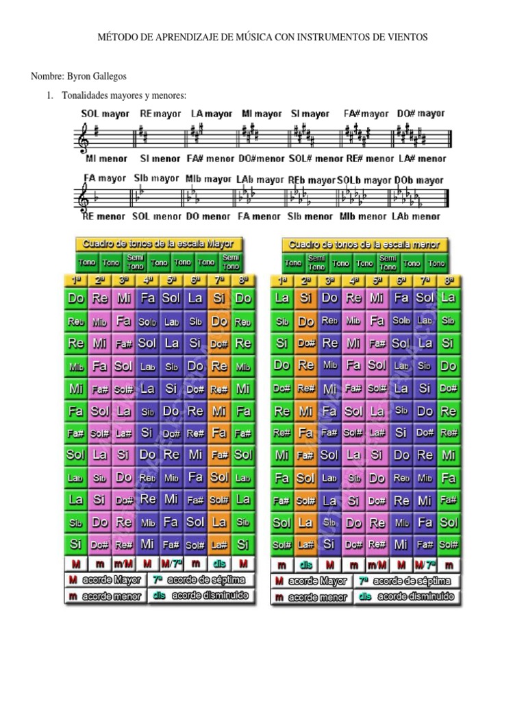 Aprendizaje de Instrumentos de Viento | PDF