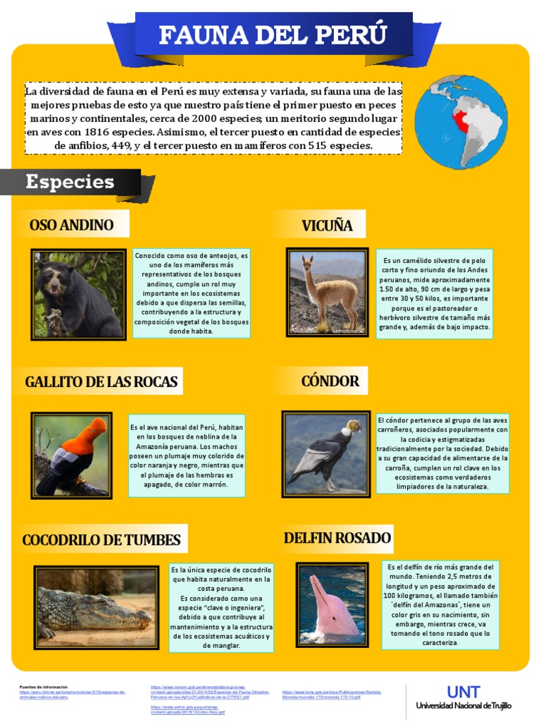 Infografía sobre la fauna del Perú | PDF | Perú | Aves