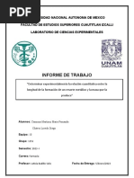 Anatomía y Cuidado de la Rata Wistar | PDF