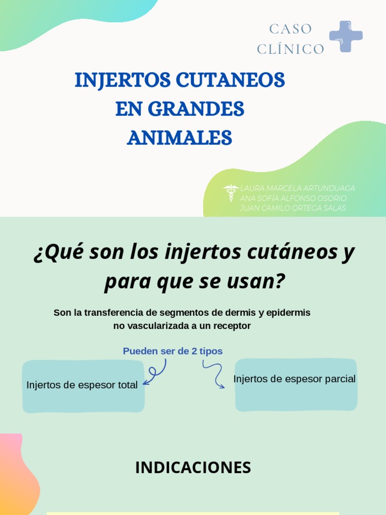 Caso INJERTOS CUTANEOS | PDF | Piel | Herida