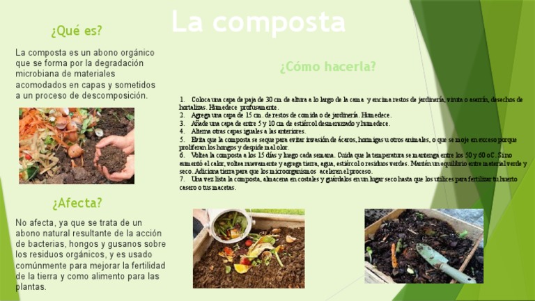 Composta | PDF