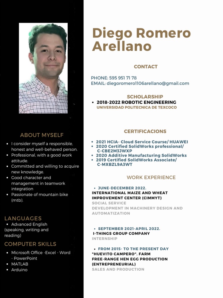 CV Diego Romero | PDF