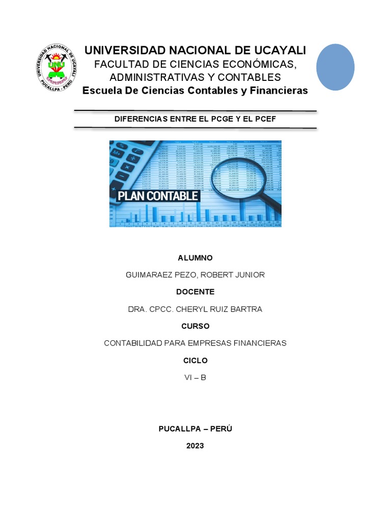 Pcge - Pcef Diferencias | PDF | Contabilidad | Estado financiero