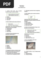 Soalan Exam Sejarah Form 2 2021 | PDF