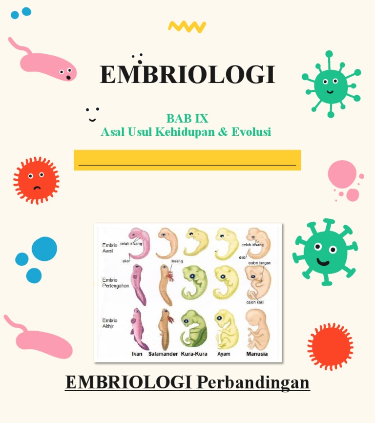 Biologi EMBRIOLOGI | PDF