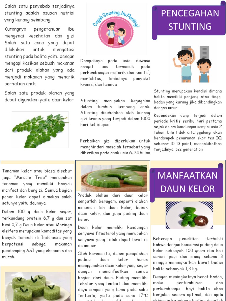 Leaflet Daun Kelor | PDF