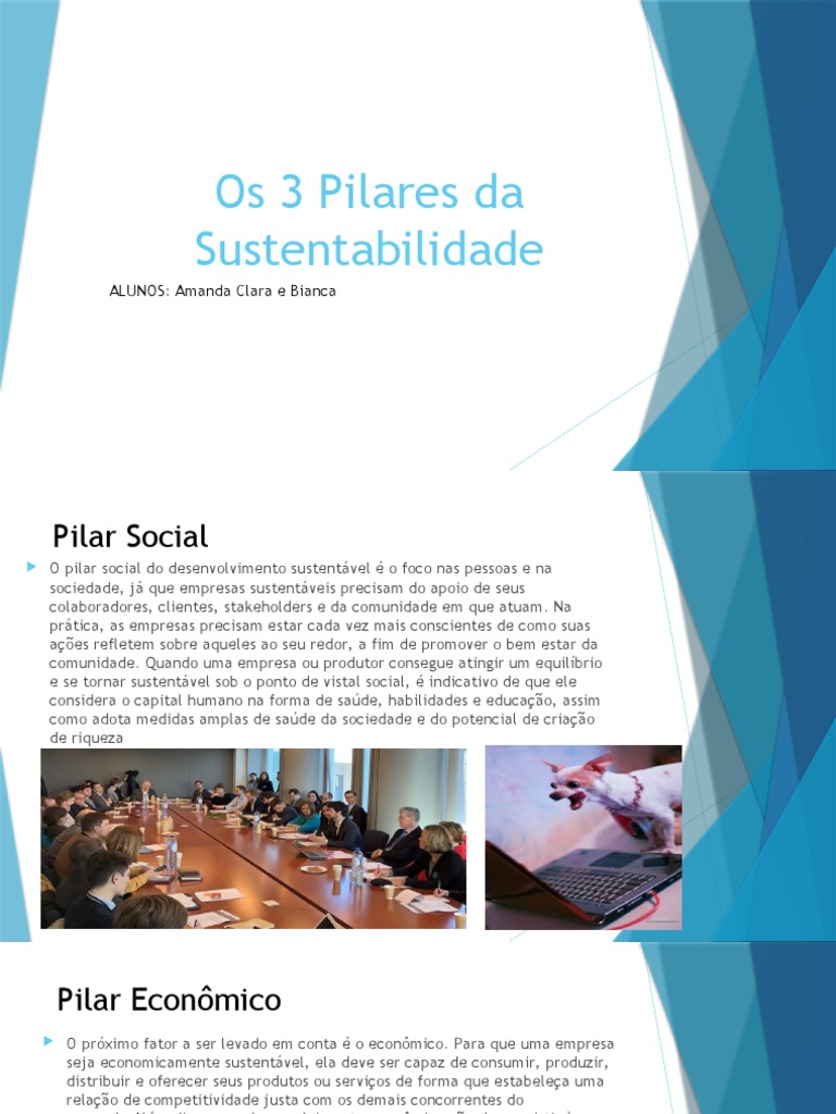 Os 3 Pilares Da Sustentabilidade | PDF