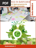 Tradiciones y Costumbres de Luvianos | PDF | México