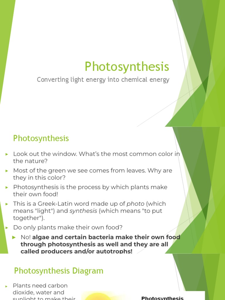 G8 Photosynthesis | PDF | Photosynthesis | Plants