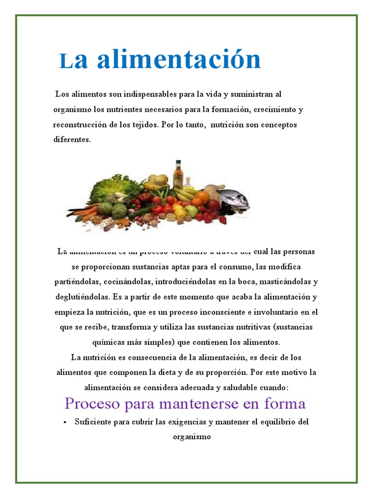 Concepto y definición de alimentación | PDF