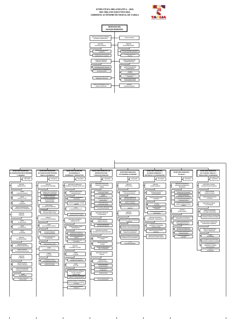 Estructura Organizativa 2021 - Organo Ejecutivo GOBERNARICION DE TARIJA | PDF | Hospital