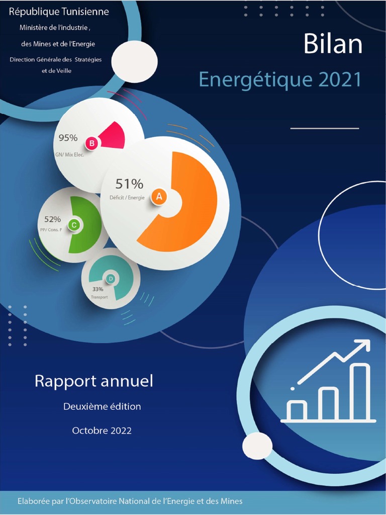 Bilan énergétique 2021 en Tunisie | PDF | Pétrole | Énergie renouvelable