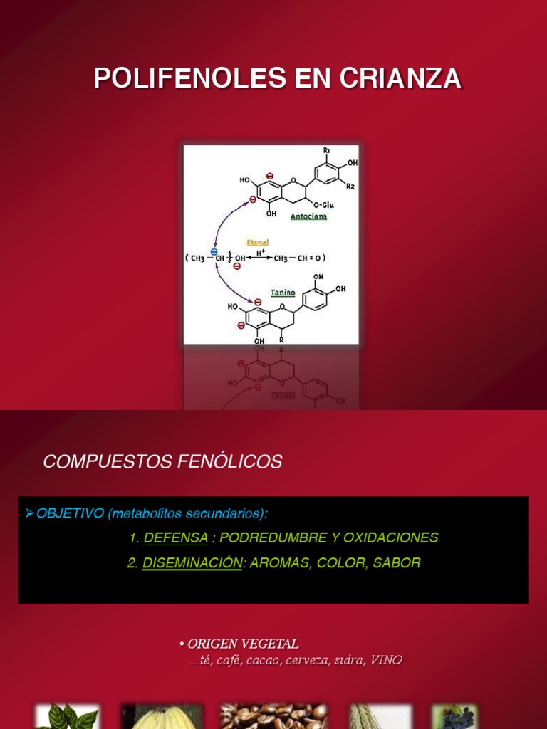 Polifenoles en Crianza | PDF | Vino | Polifenol