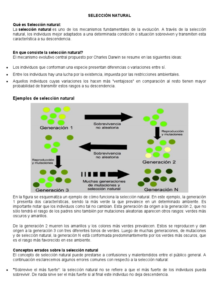 Selección Natural | PDF | Seleccion natural | Crianza selectiva