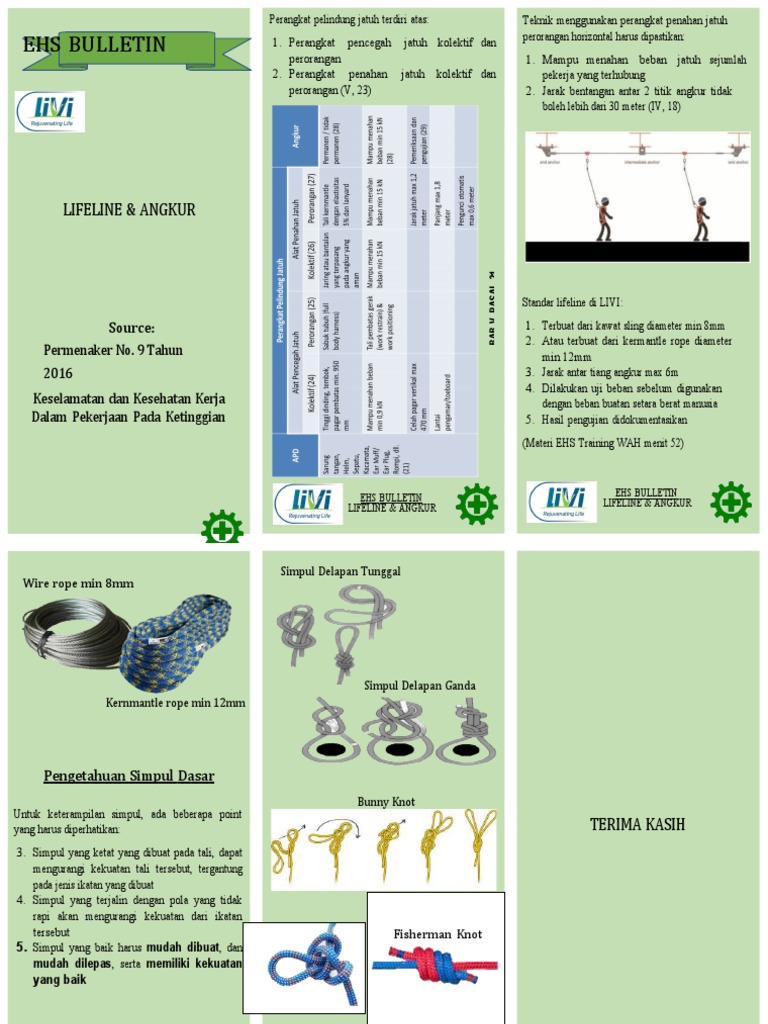 Lifeline & Anchor | PDF