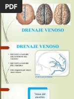 Foramen Ciego: Fosa Craneal Anterior | PDF | Sistema esquelético ...