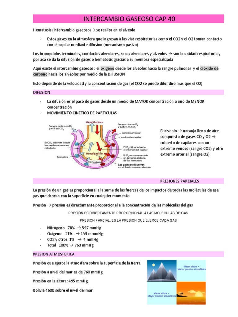 Intercambio Gaseoso CAP 40 | PDF | Difusión | Gases