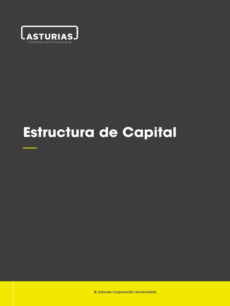 Estructura de Capital | PDF | Apalancamiento (Finanzas) | Deuda