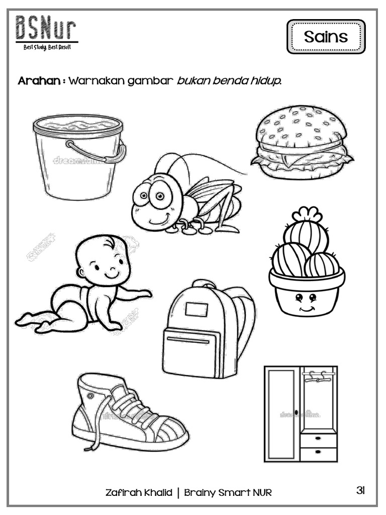 Latihan Ulangkaji Sains | PDF