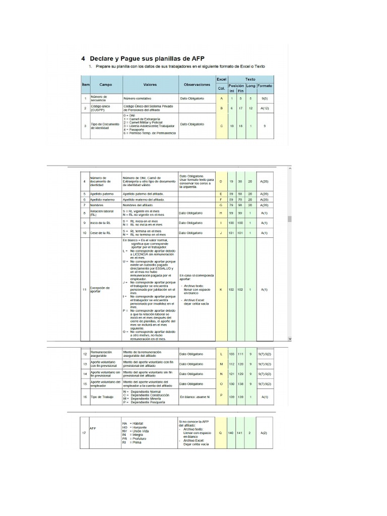 Estructura de Archivo AFPnet | PDF