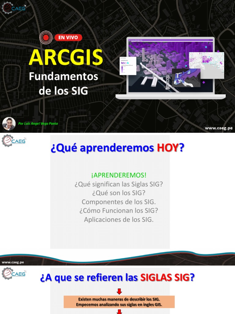 Tema 01 Fundamentos de Los SIG | PDF | Sistema de información ...