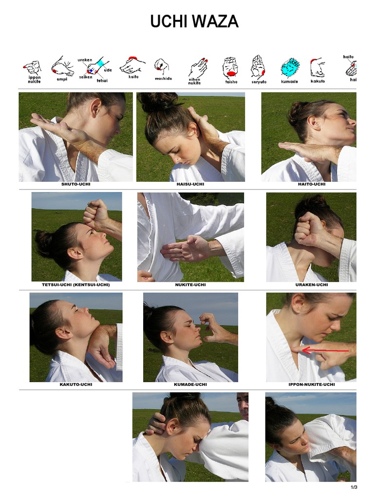Uchi Waza Ataque Con Una Mano | PDF