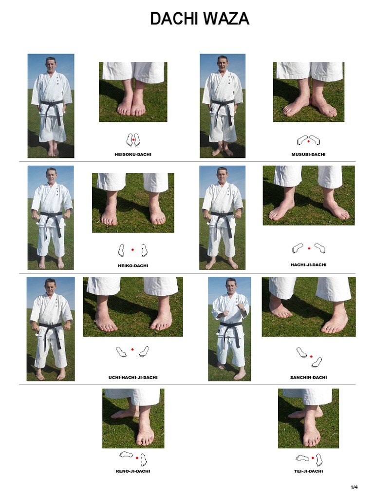 Karate Stances and Their Names | PDF