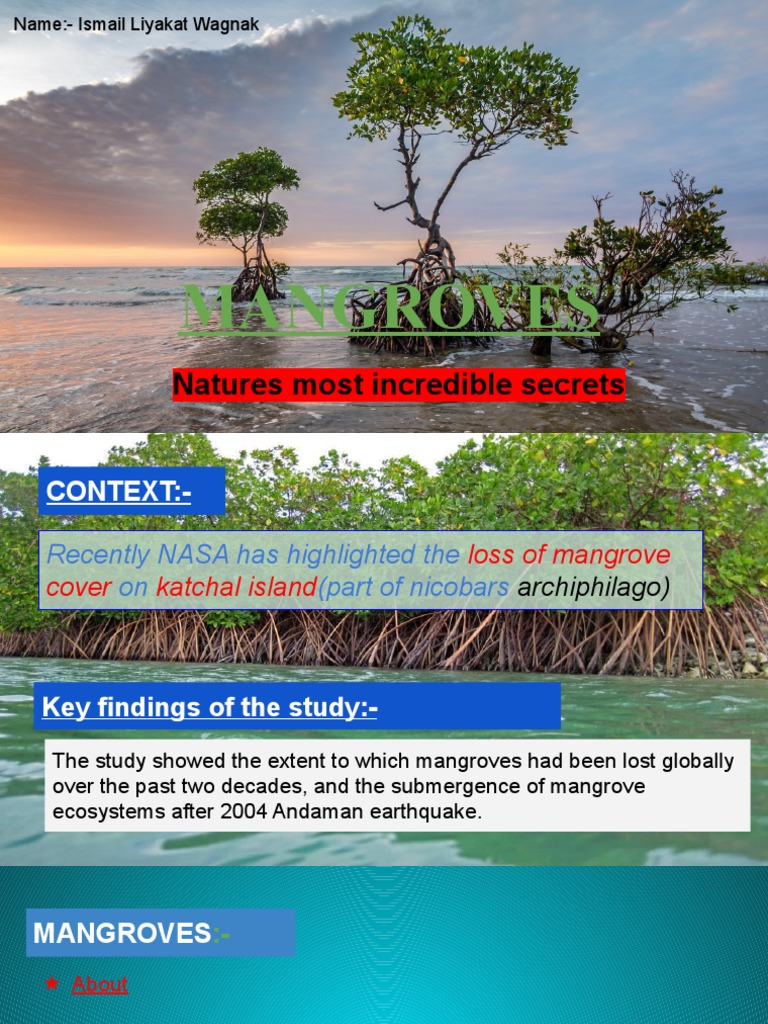 Loss of Mangroves on Katchal Island: Key Findings from a NASA Study on ...