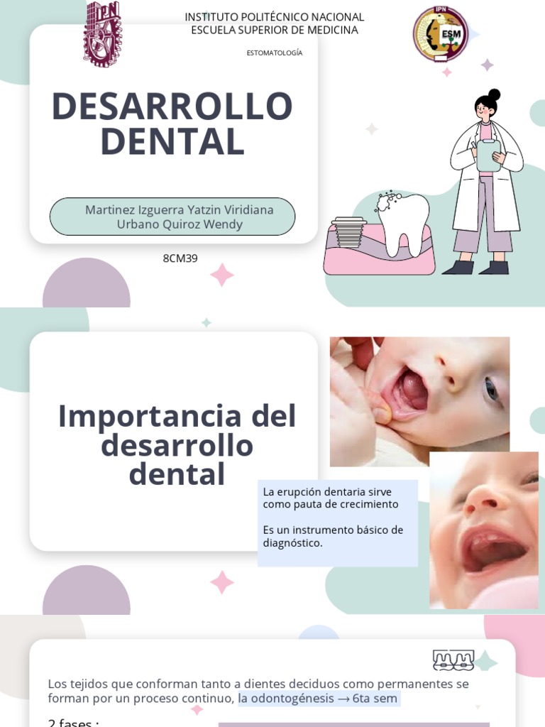 Desarrollo Dental | PDF | Diente | Anatomia dental