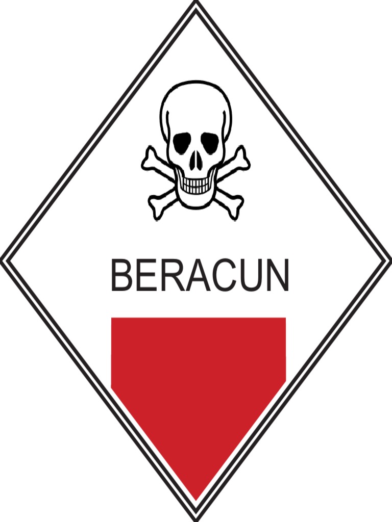 Logo B3 Beracun | PDF