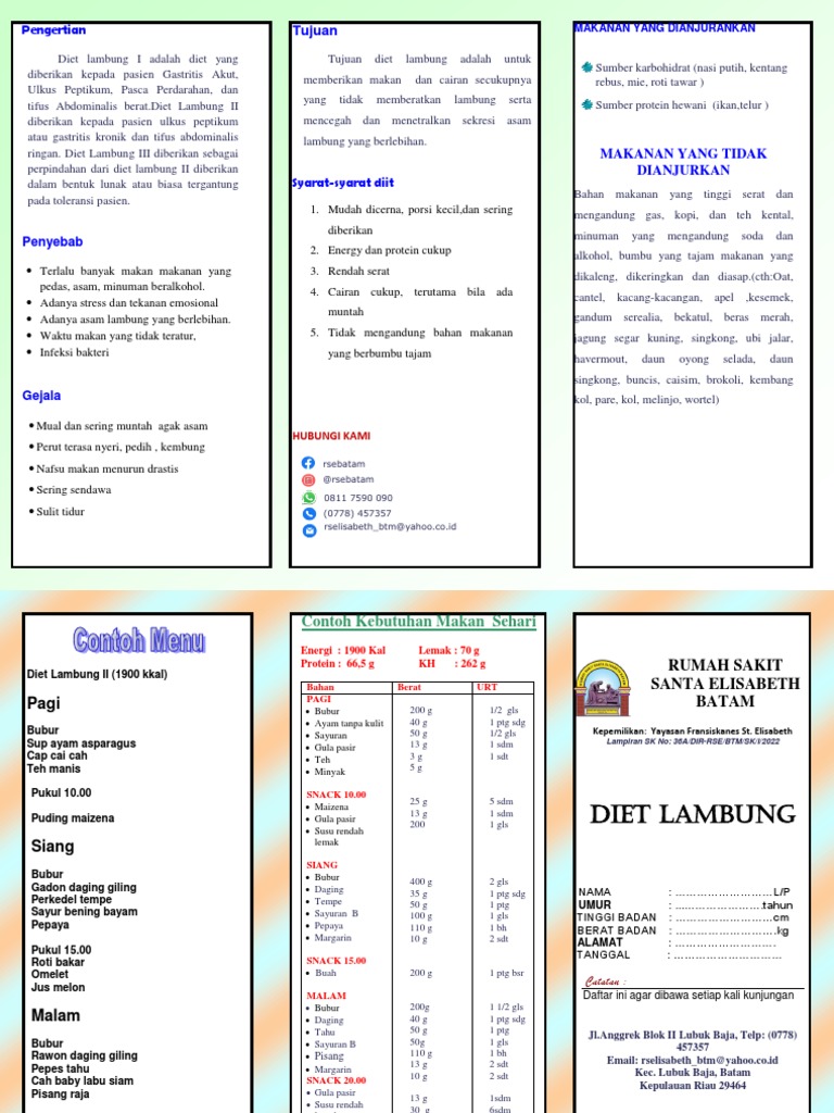 Panduan Diet Lambung untuk Pasien | PDF