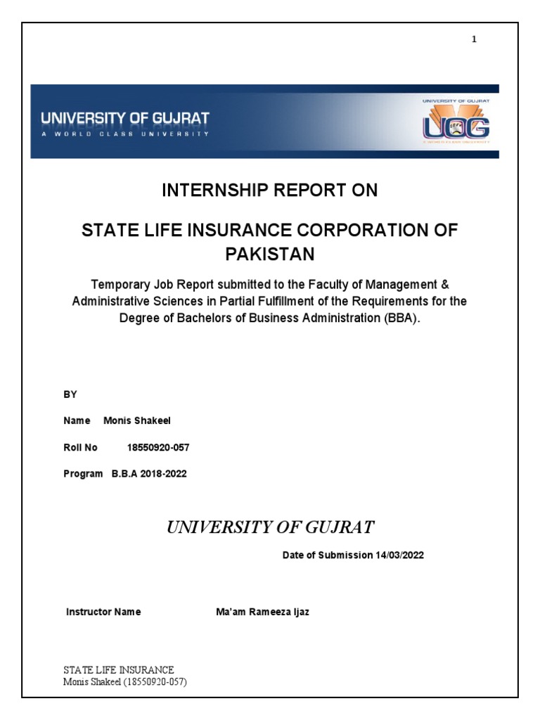Internship Report | PDF | Insurance | Life Insurance