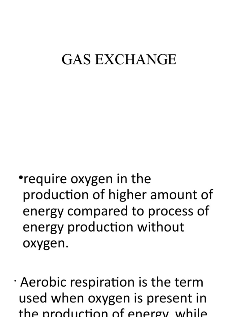 Gas Exchange Mechanisms in Animals | PDF | Home & Garden
