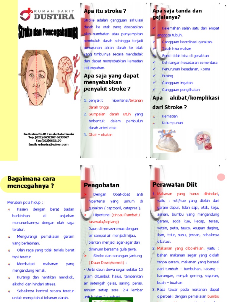 Leaflet Edukasi Stroke Dan Pencegahannya | PDF