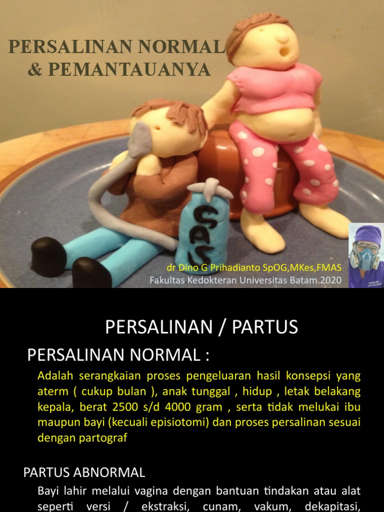 Proses Persalinan Normal Dan Pemantauannya | PDF