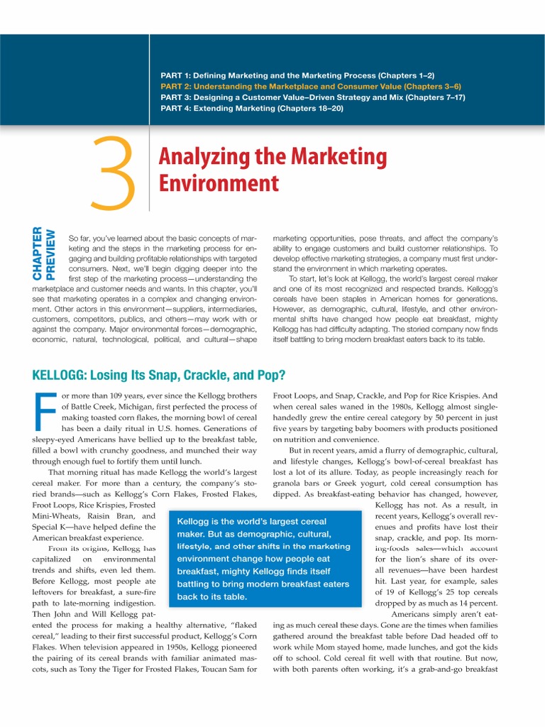 Chapter 3 Principles of Marketing | PDF