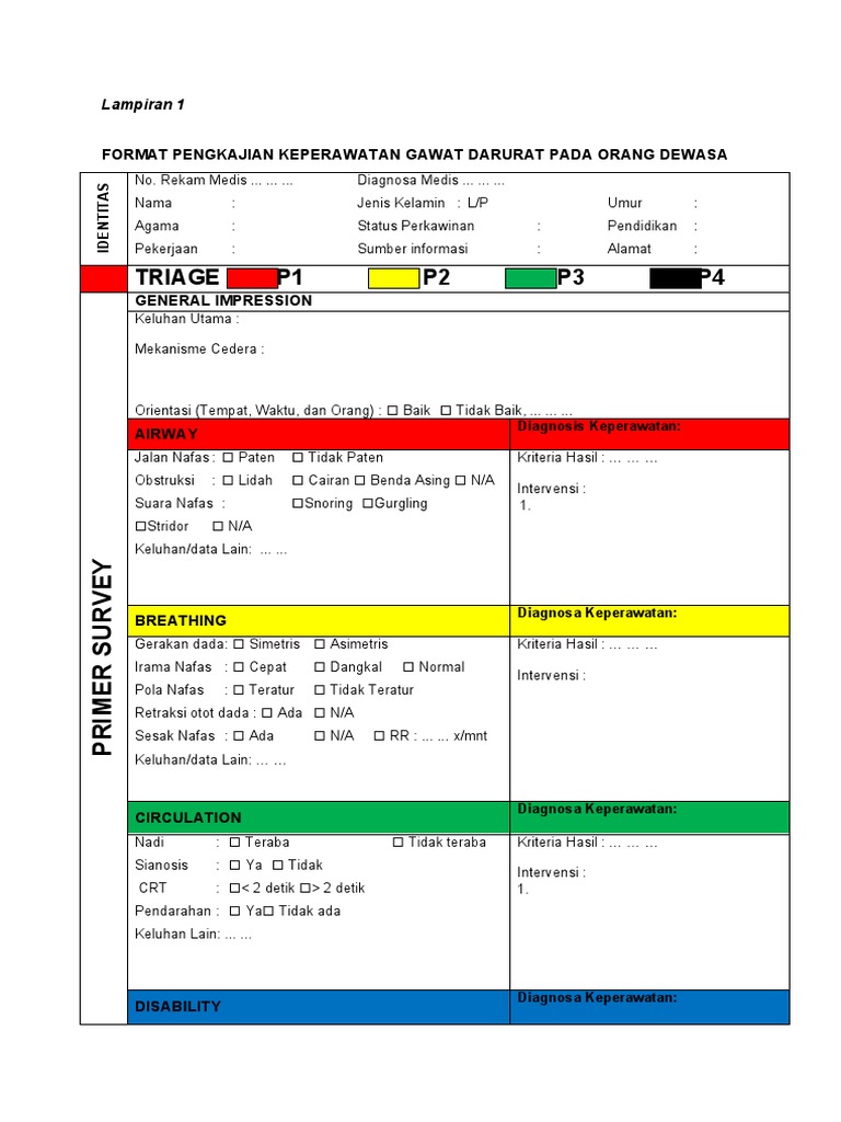 Format Pengkajian Stase KGD | PDF