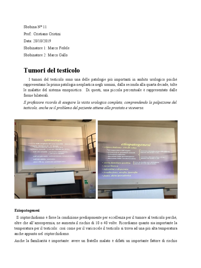 Tumori Del Testicolo | PDF
