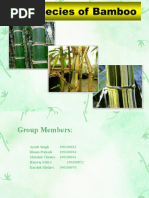 Vitex Payos | PDF | Trees | Leaf