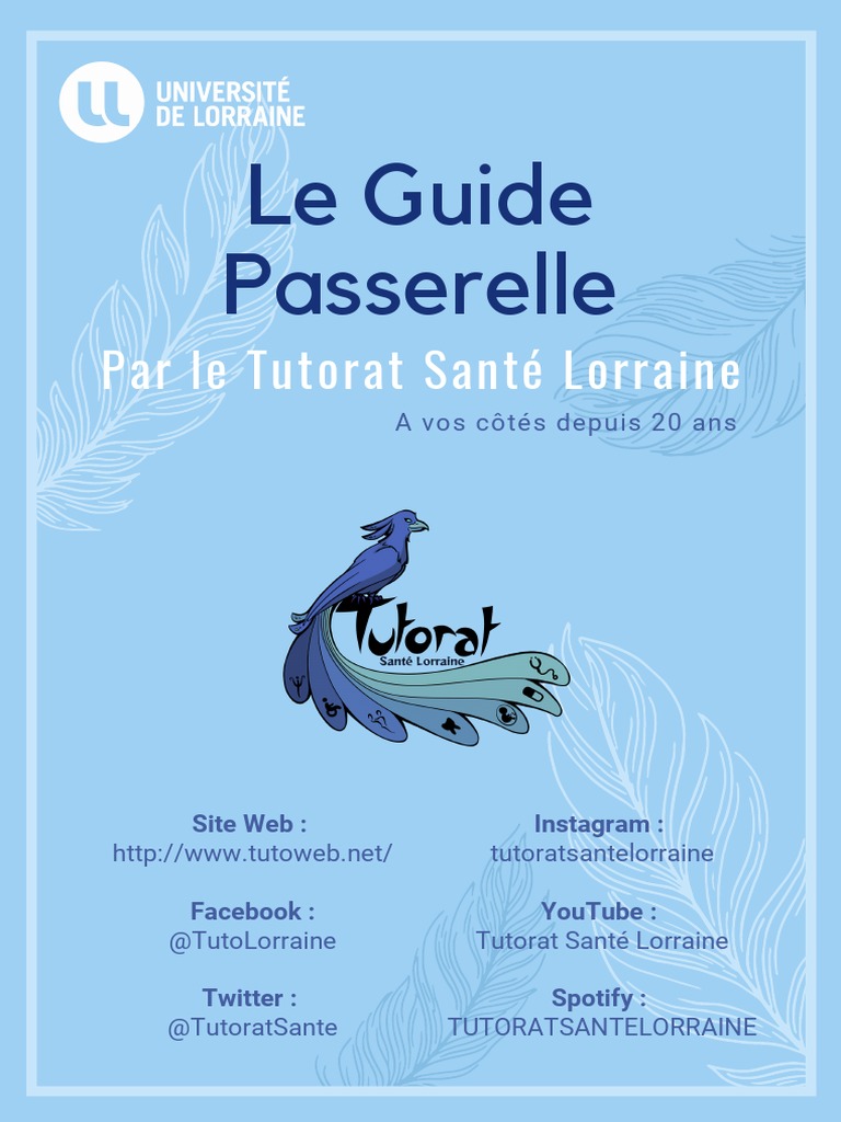 Le Guide Passerelles Sante | PDF | Doctorat | Enseignement médical